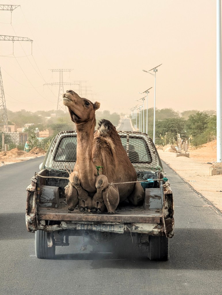 MAURITANIË 101 – Buiten de Bubbel